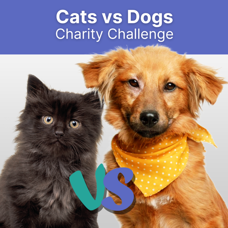 Cat People vs Dog People: Cast Your Vote On Ipsos iSay