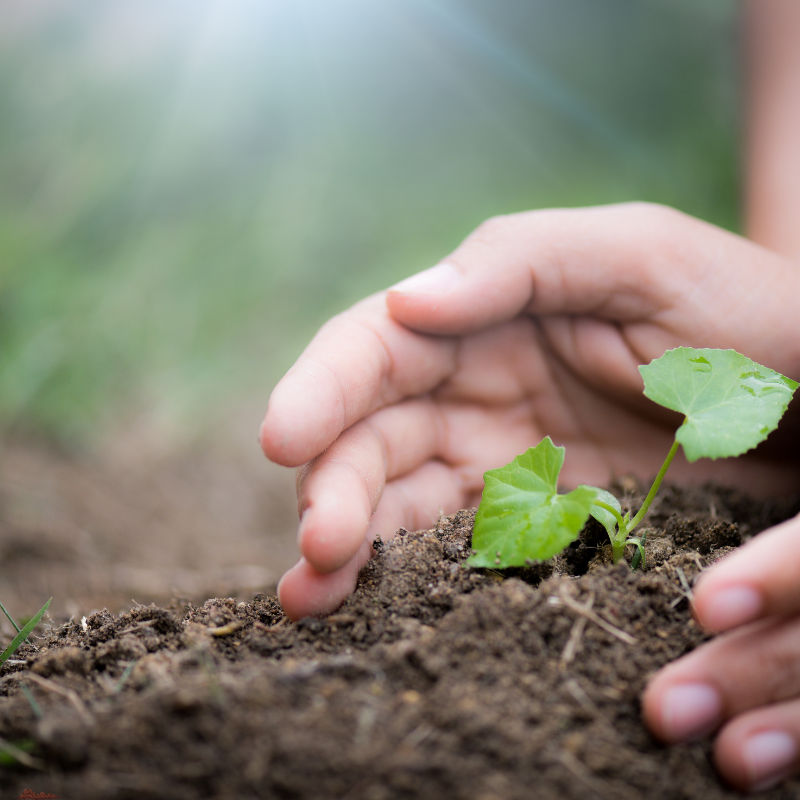 Earth Day 2026: Why Climate Action Feels Harder Now